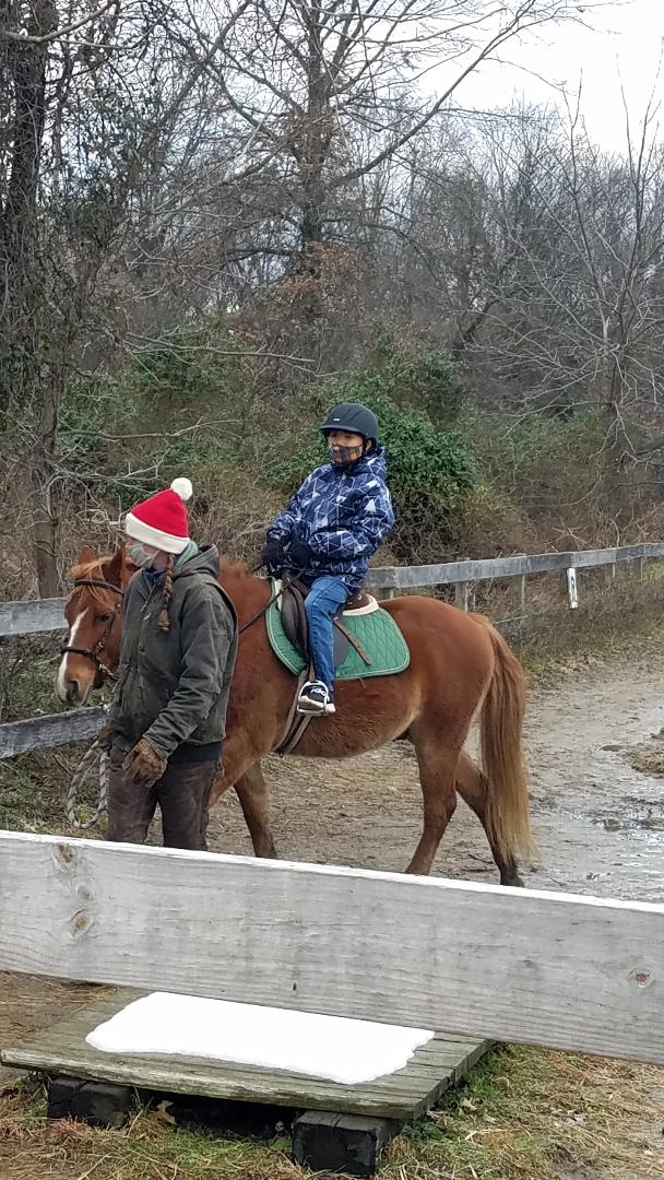 Home - Scatter Sunshine